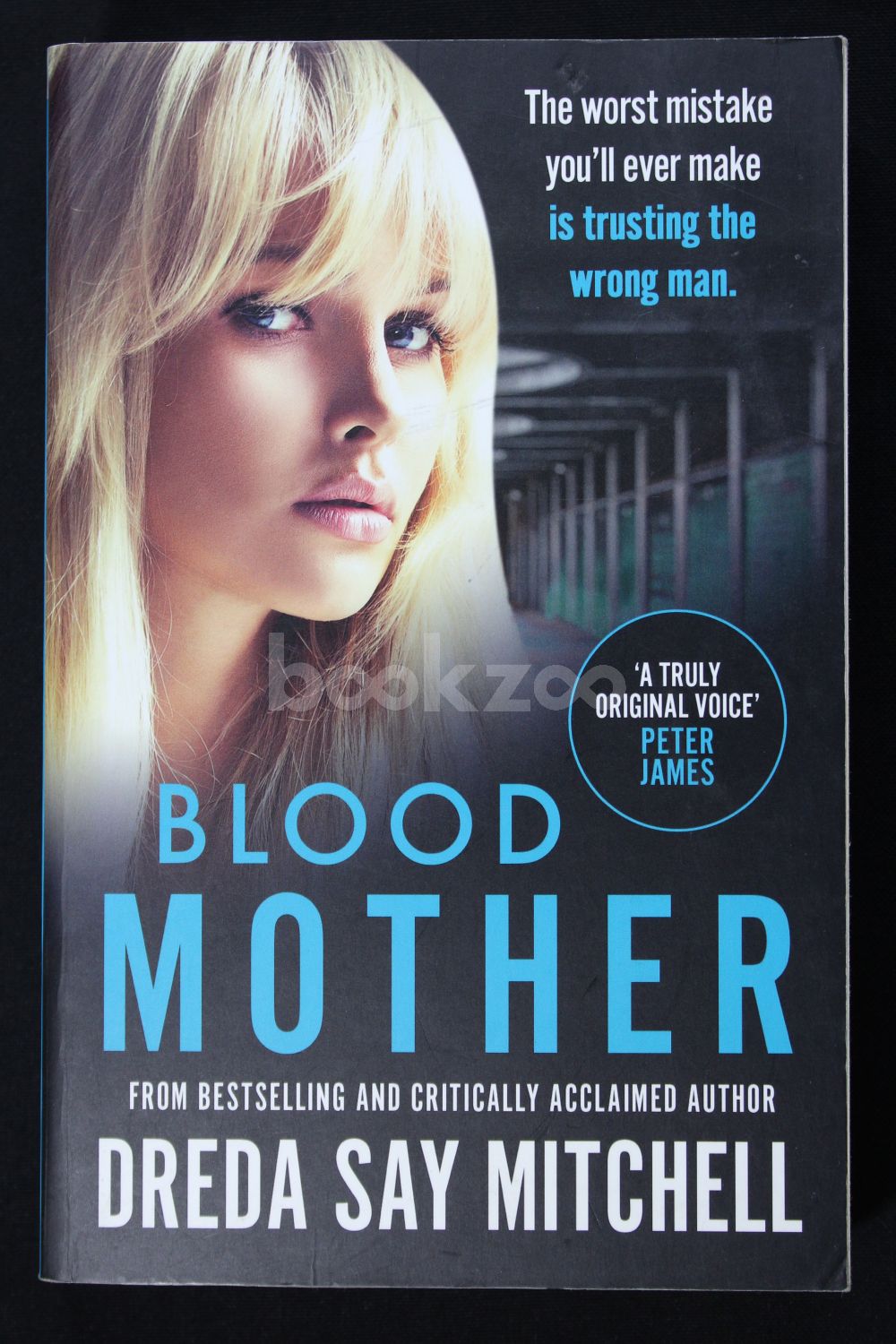 Buy Blood Mother at online bookstore bookzoo.in — Bookzoo.in
