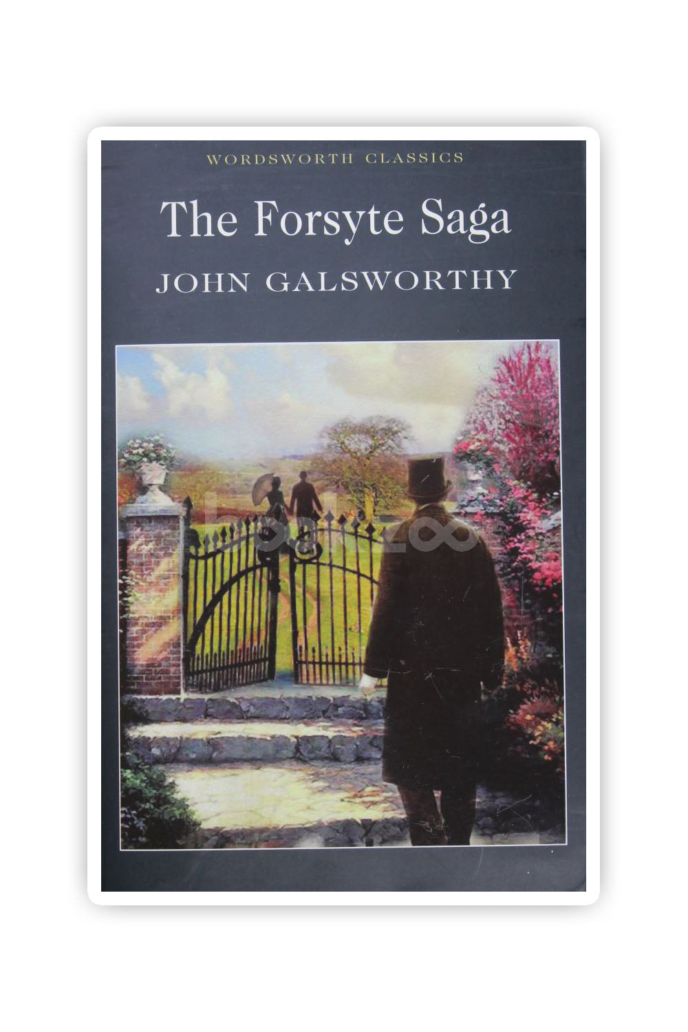 Buy The Forsyte Saga by John Galsworthy at Online bookstore bookzoo.in ...