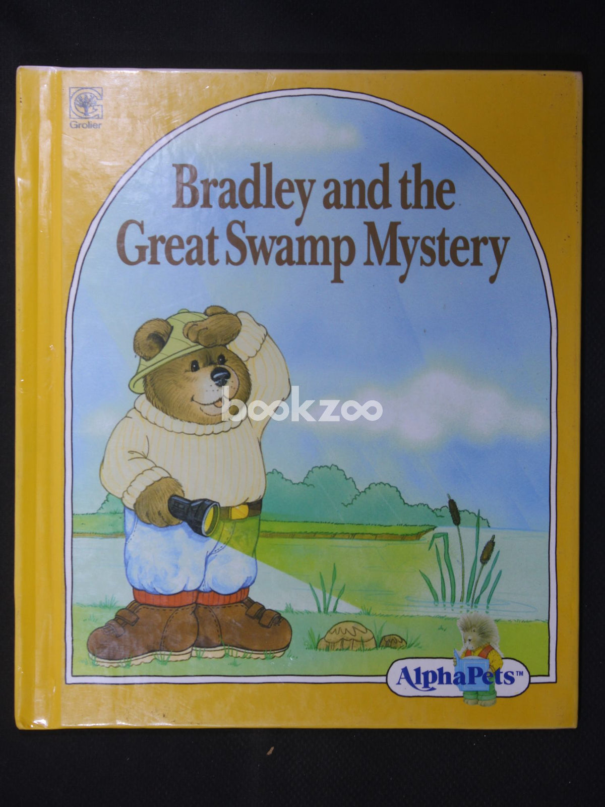 Buy Bradley and the Great Swamp Mystery by Deborah Colvin Borgo at ...