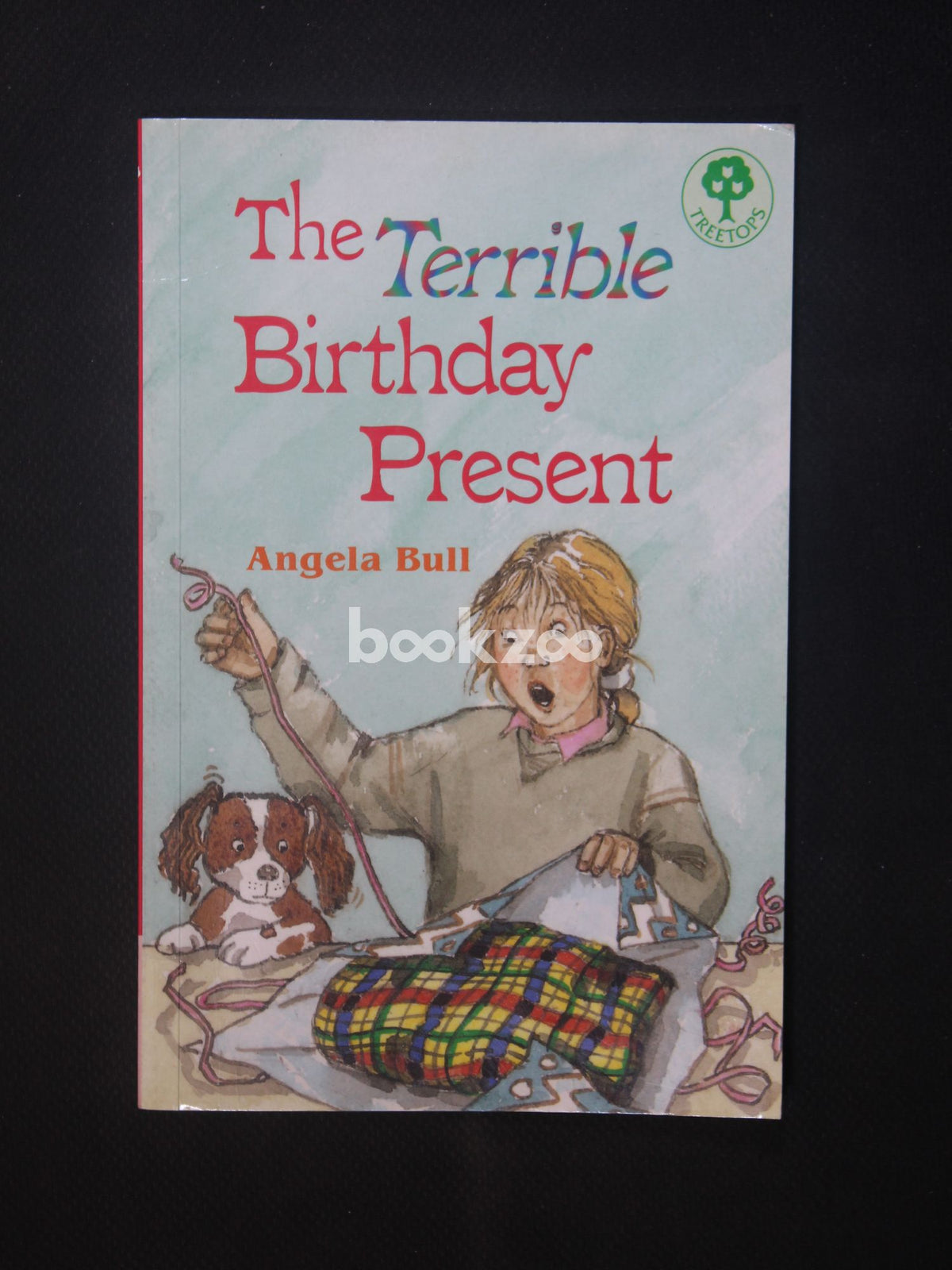 Buy The Terrible Birthday Present by Angela Bull at Online bookstore ...