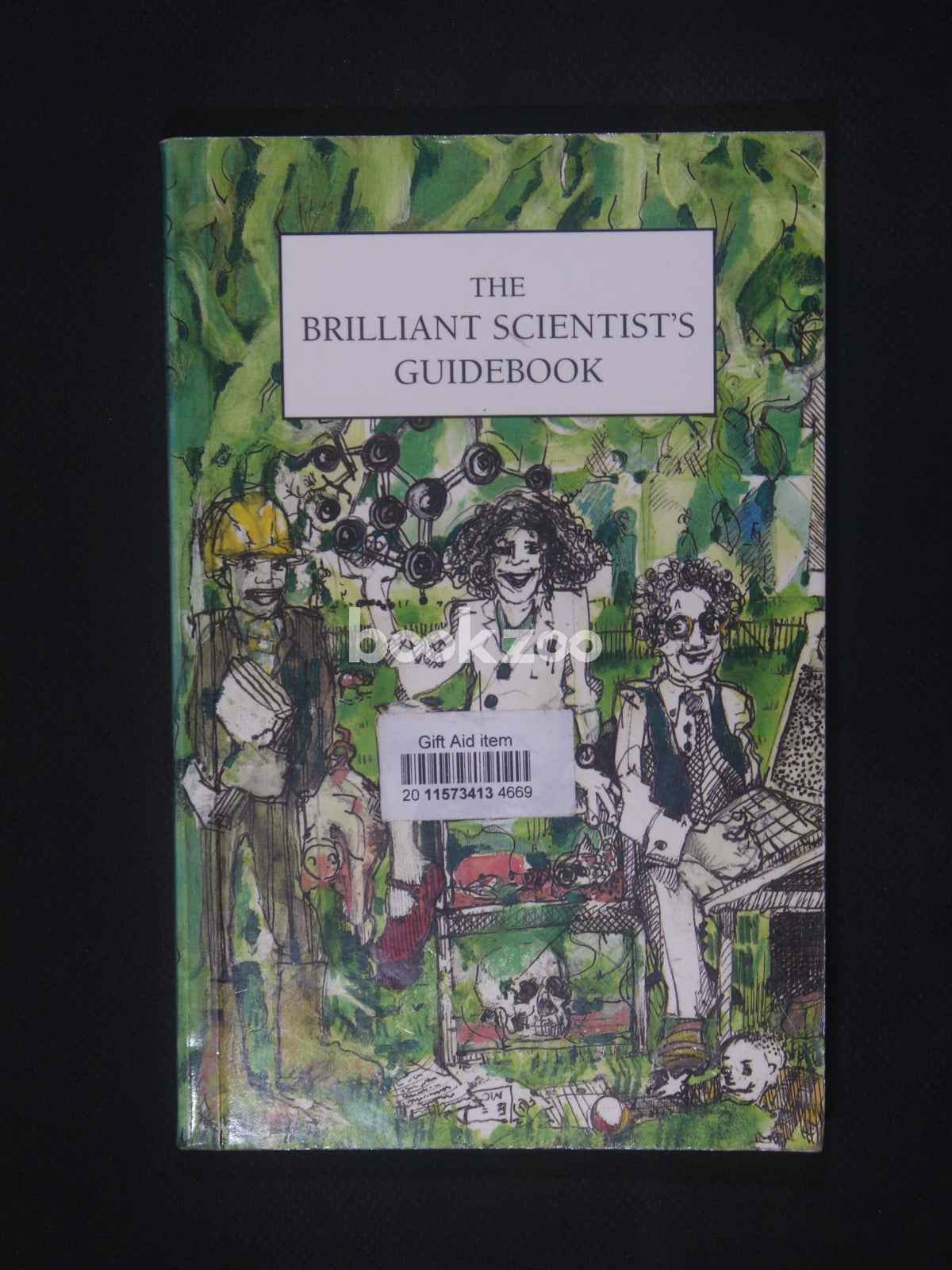 Buy The Brilliant Scientist's Guidebook by Rose Pomeroy at Online ...